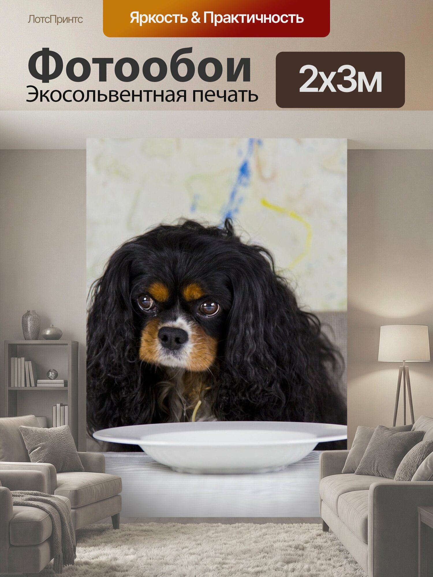 Фотообои "Кавалер, кинг, кавалер кинг чарльз спаниель" 200x300 см. экосольвентная печать