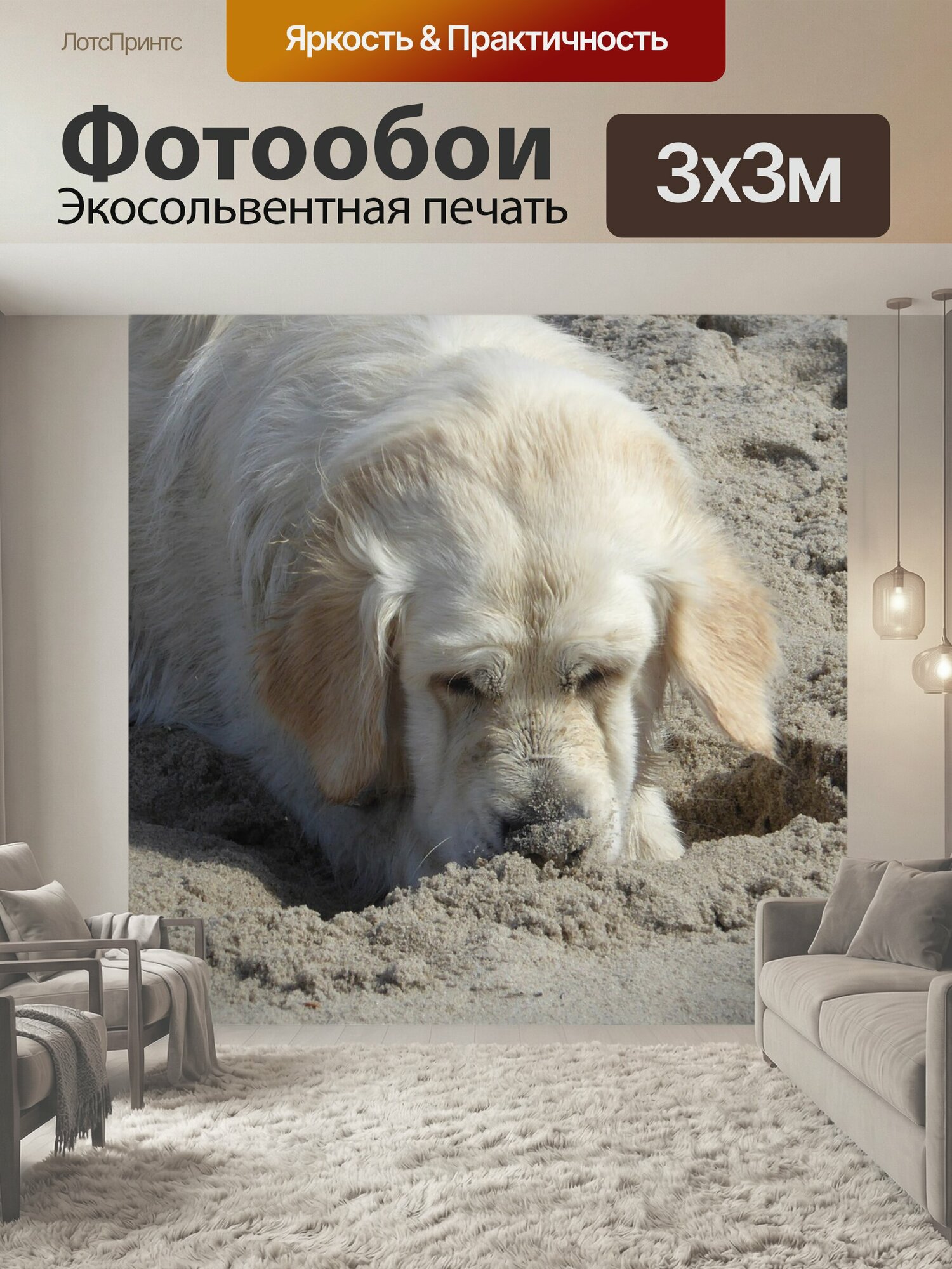 Фотообои "Золотистый ретривер, собака, пляж" 300x300 см. экосольвентная печать