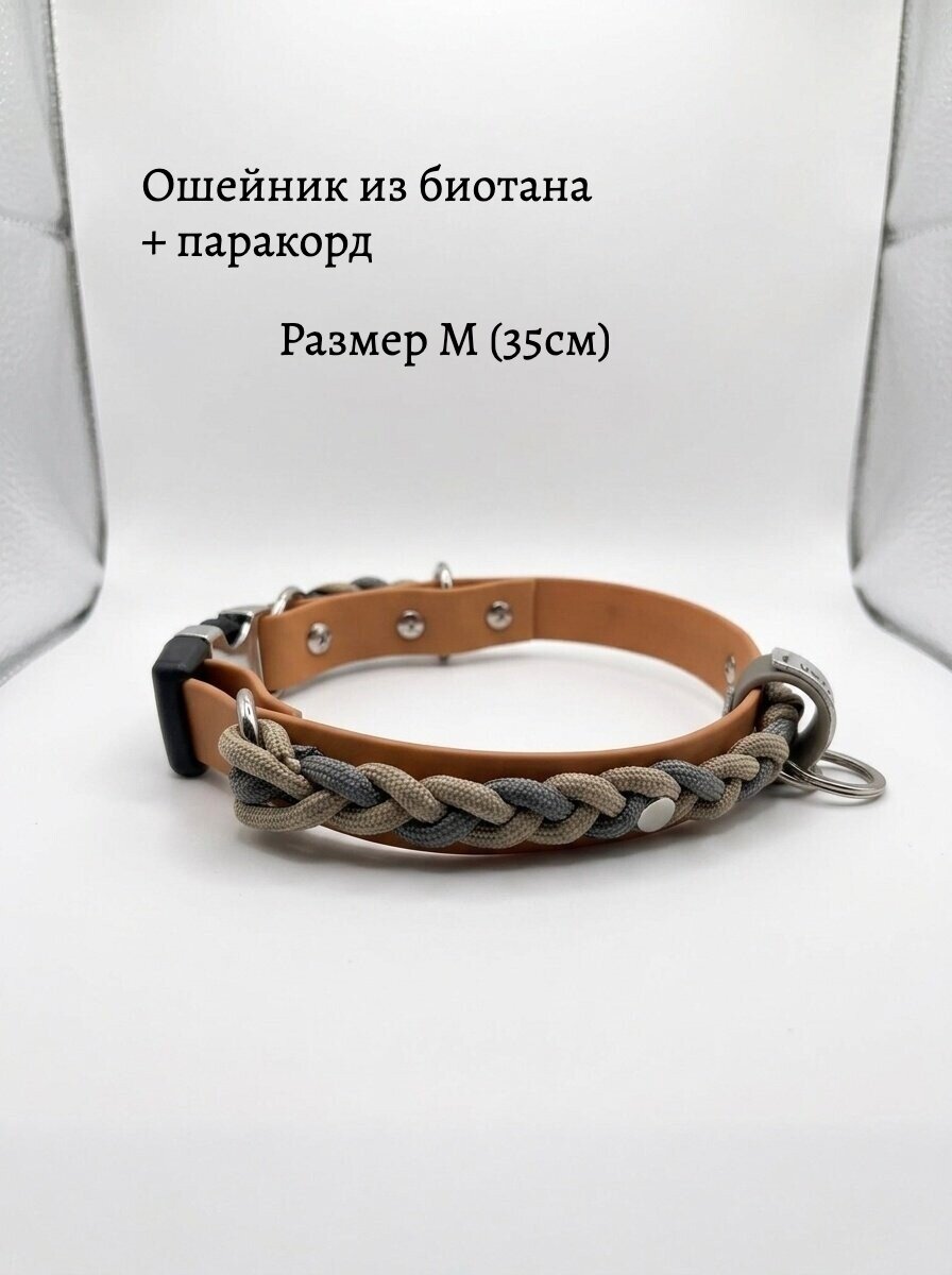 Ошейник для собак из биотана с косичкой паракорд, для средних пород собак