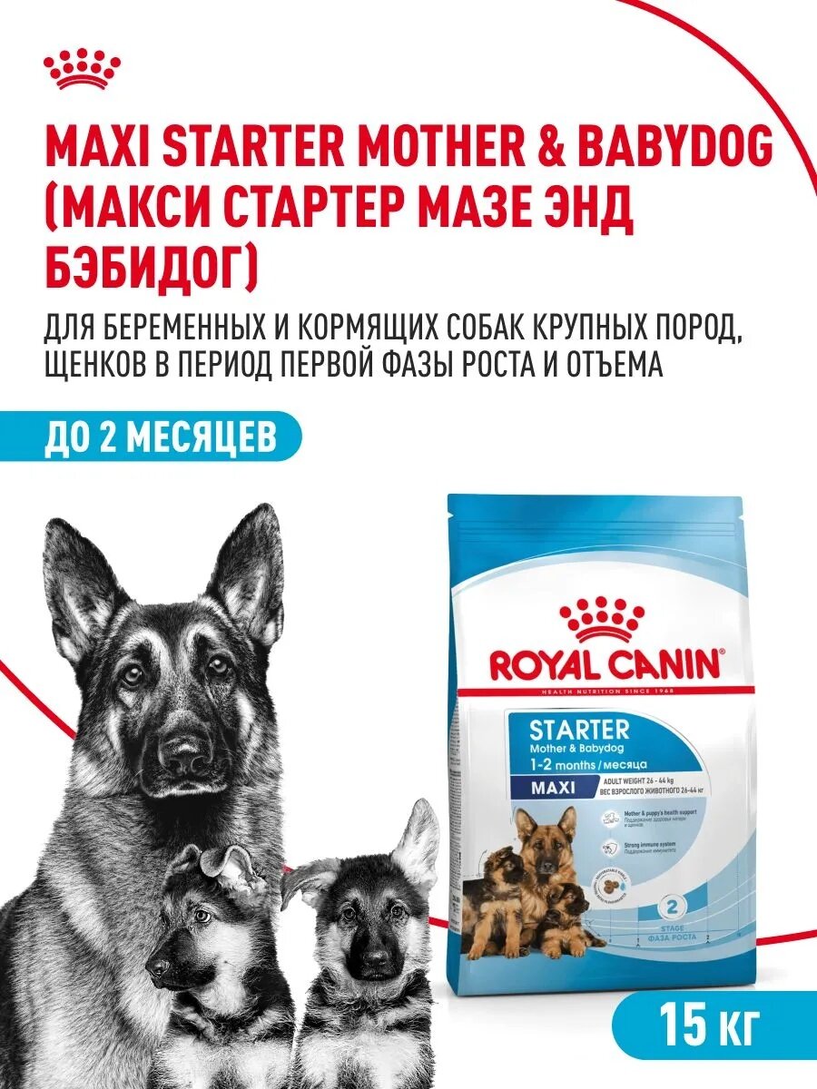 Сухой корм Royal Canin Maxi Starter для щенков крупных пород и беременных и кормящих собак, 15 кг