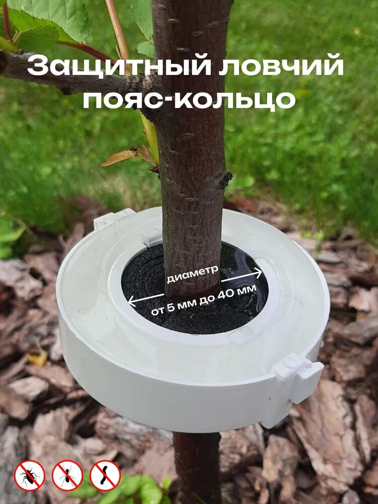 Защитный ловчий пояс-кольцо от муравьев и тли
