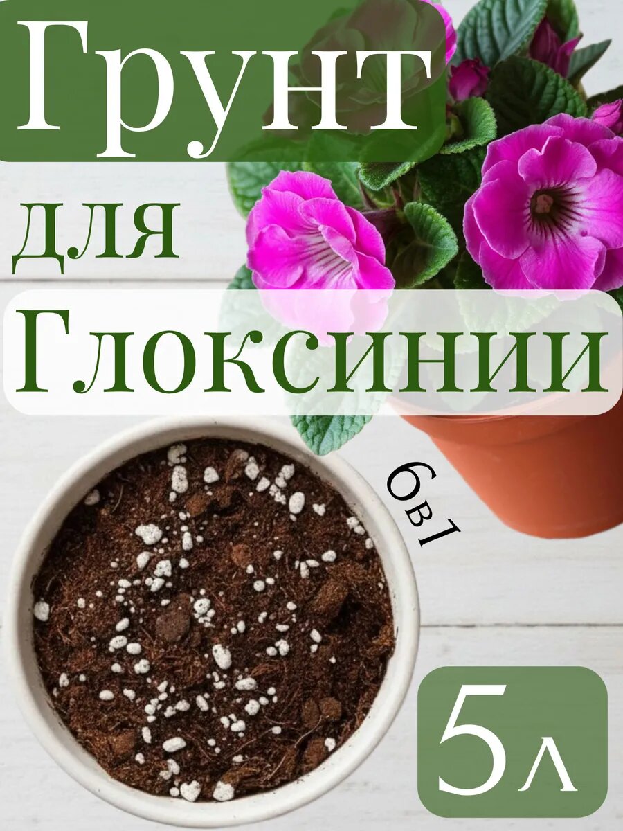 Готовый грунт для Глоксинии 5 литров