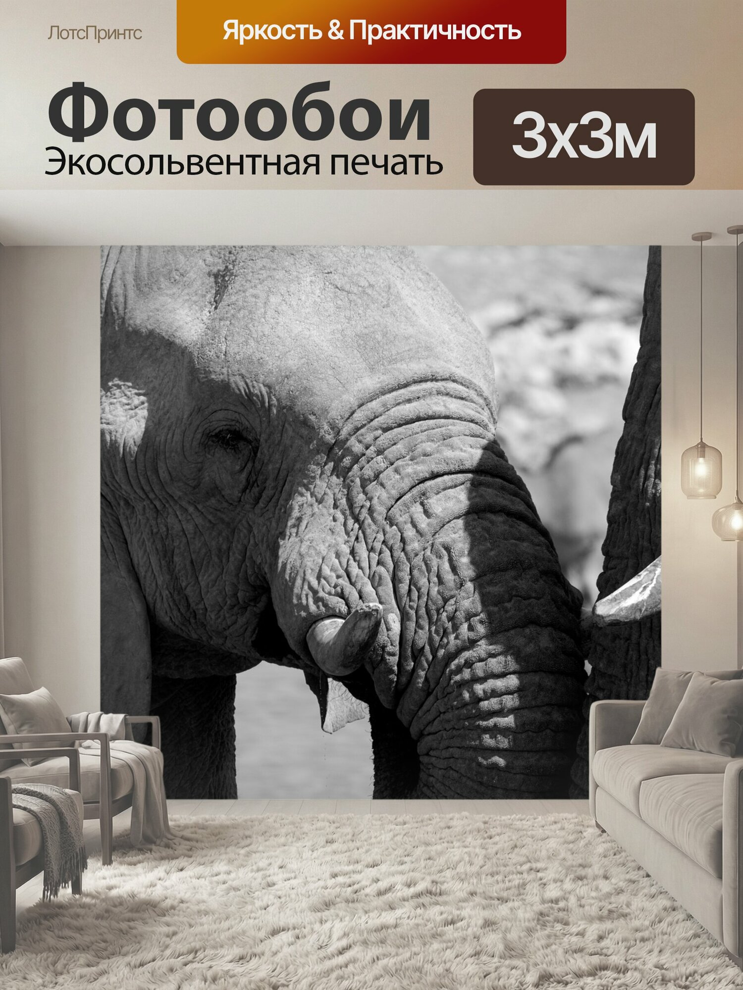 Фотообои "Слон, черно-белый, африке" 300x300 см. экосольвентная печать