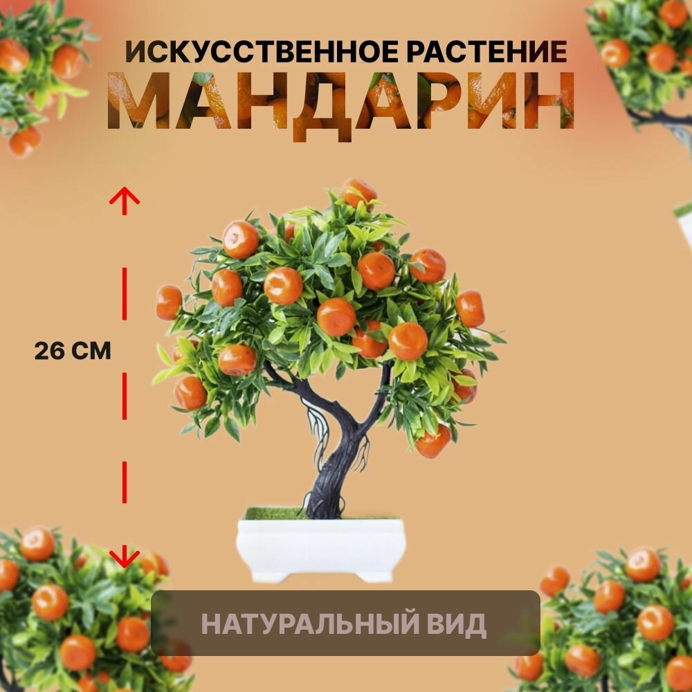 Композиция из цветов Мандариновое дерево 26 см