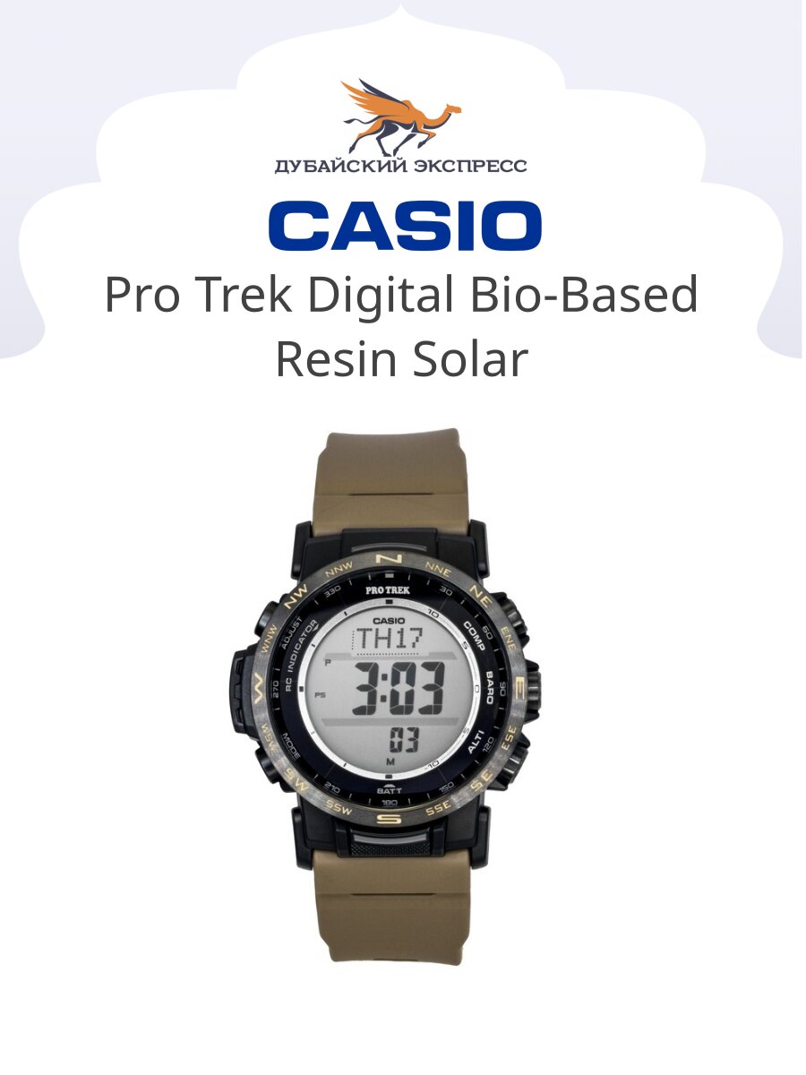  CASIO