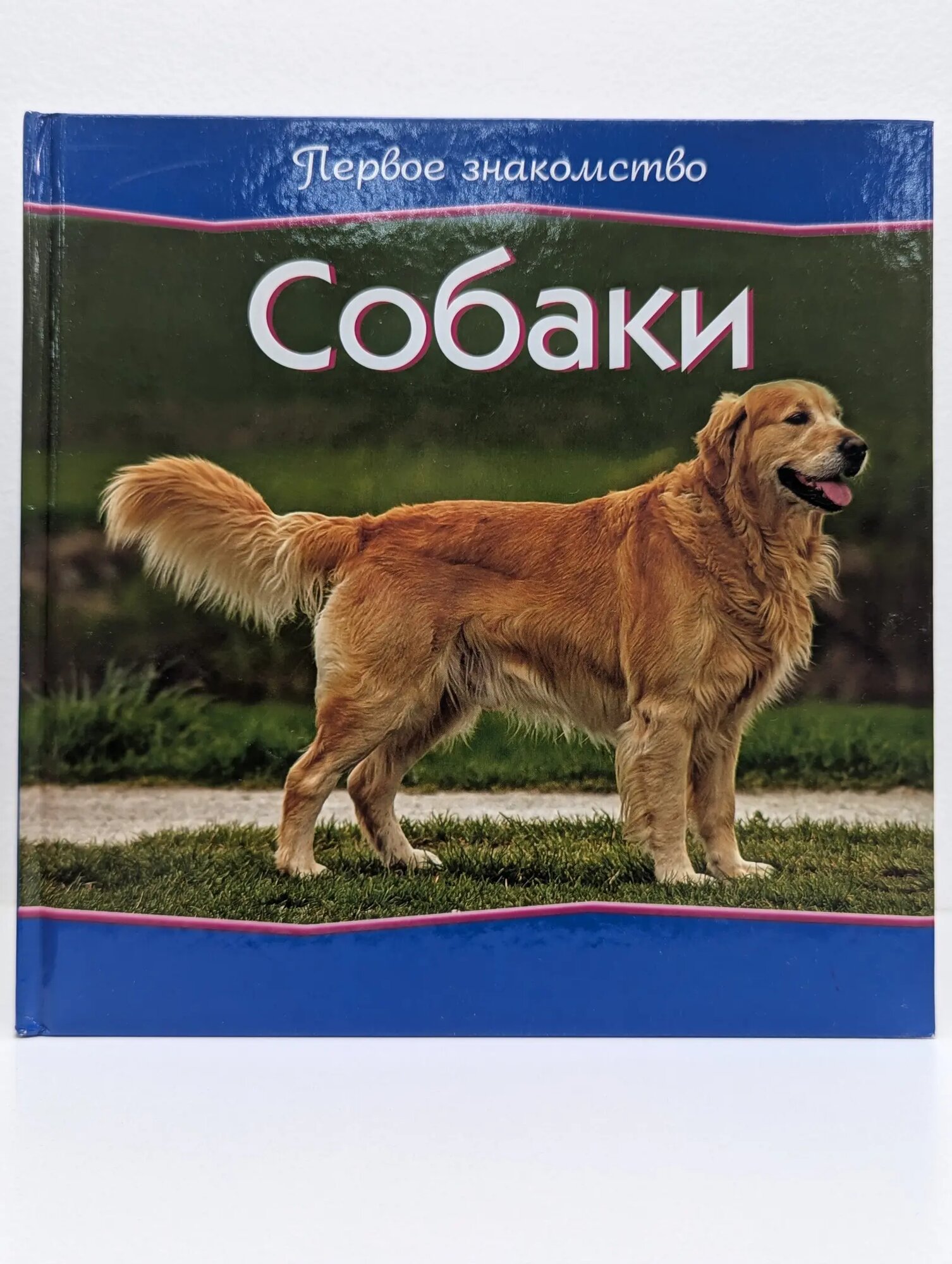 Первое знакомство. Собаки Уилздон Кристина 2009