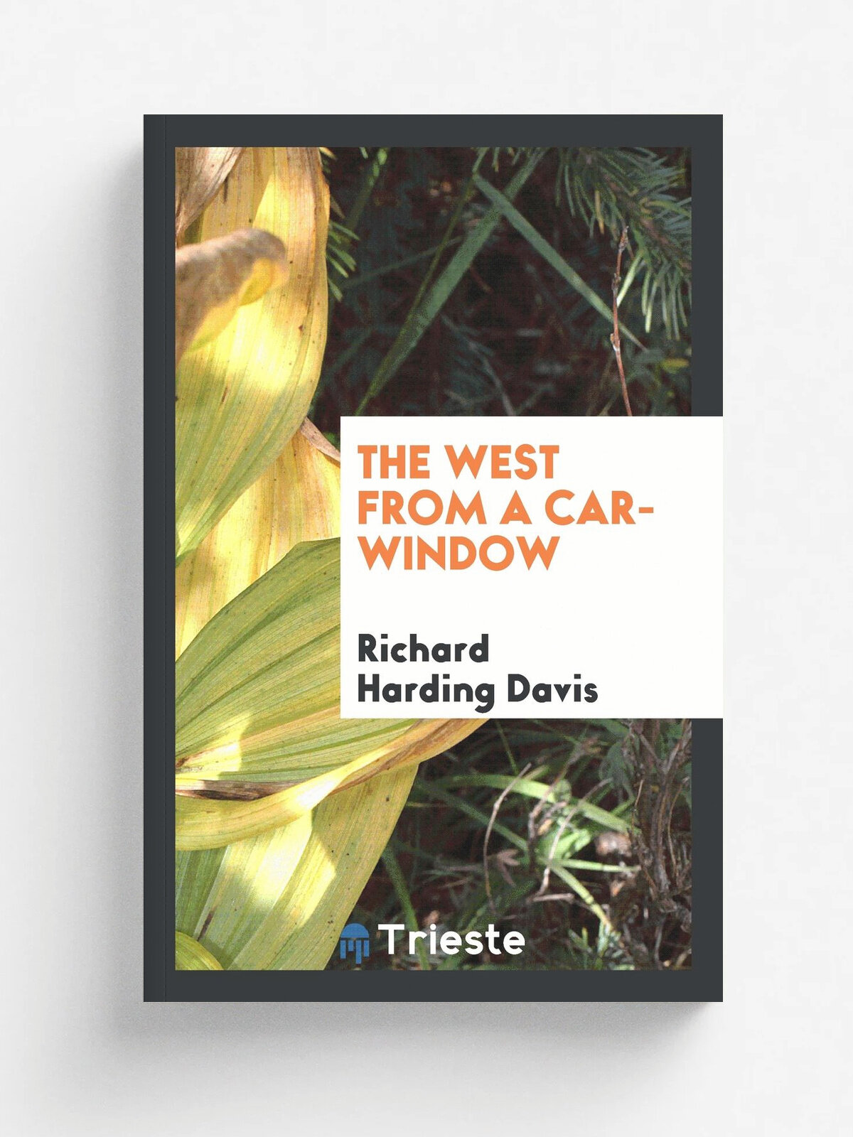 The West from a Car-Window