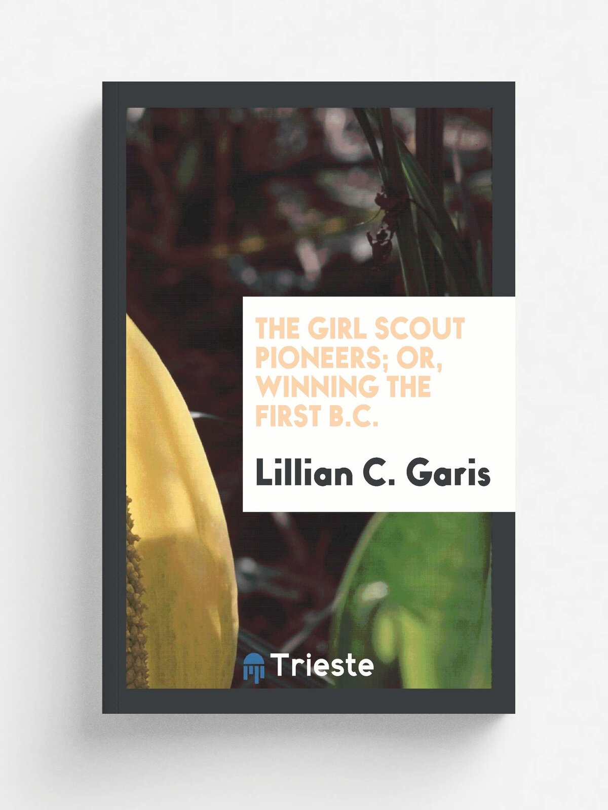 The Girl Scout Pioneers; Or, Winning the First B.C.