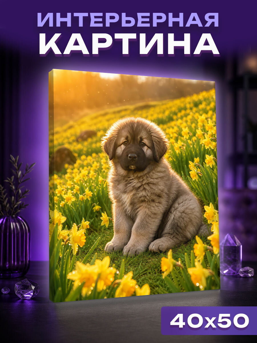 Интерьерная картина Щенок среди весенних нарциссов