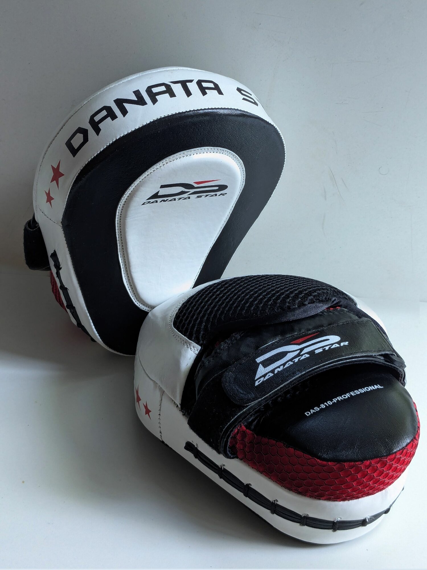 Лапы боксерские Danata Professional — фото 1