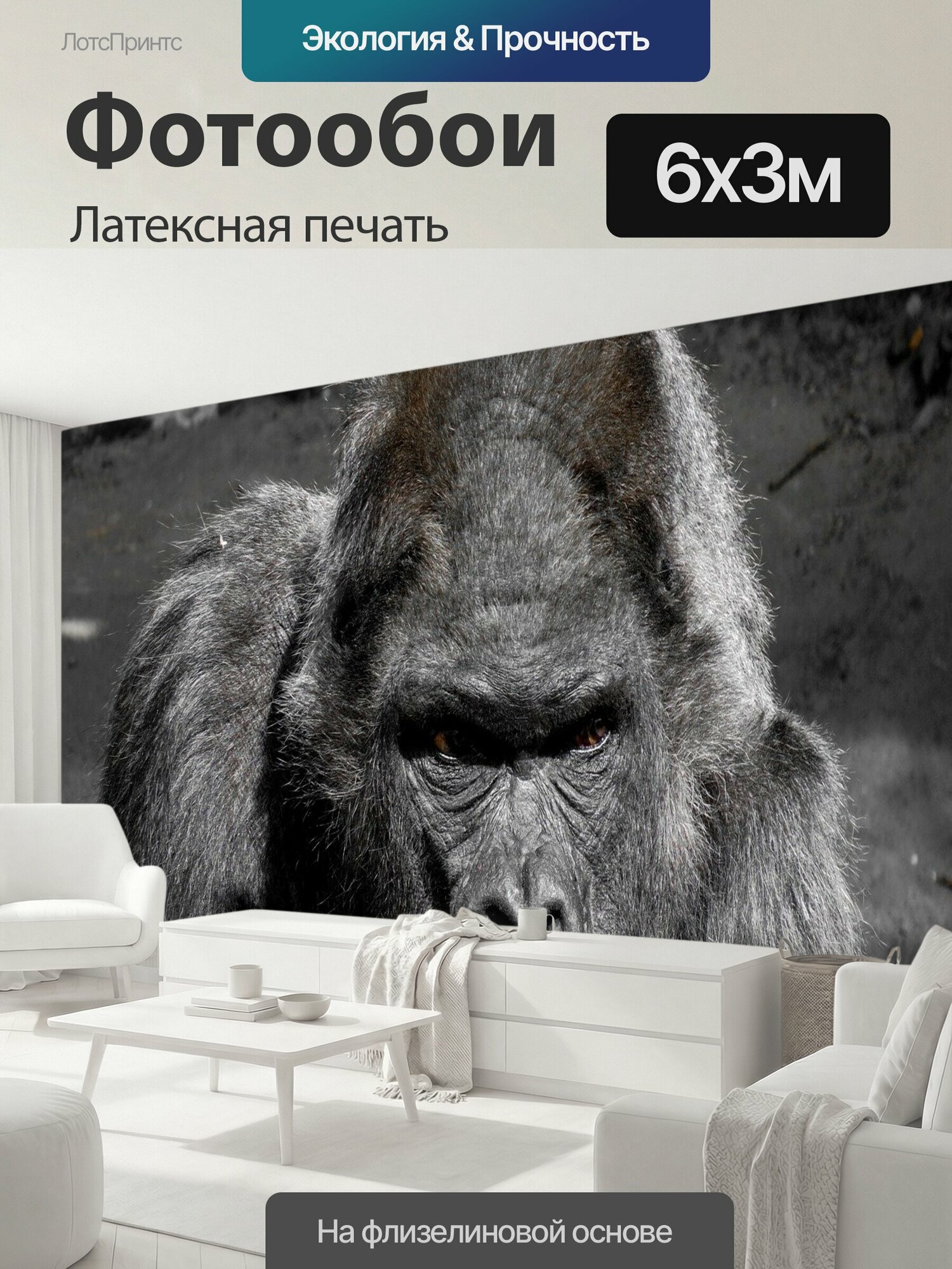 Фотообои моющиеся ударопрочные "Горилла, обезьяна, зоопарк" 600x300 см. латексная печать
