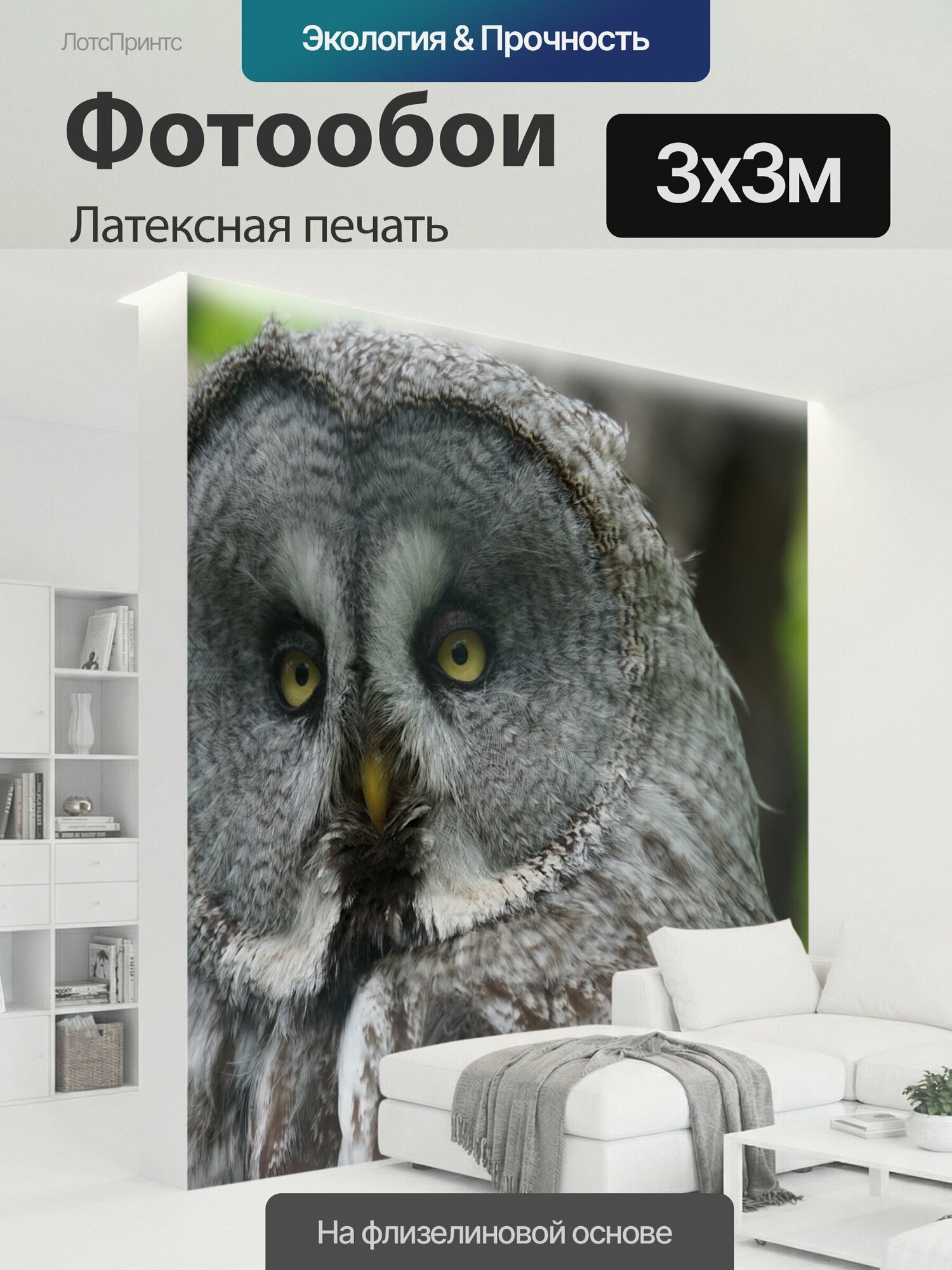 Фотообои моющиеся ударопрочные "Сова, мудрый, ночной образ жизни" 300x300 см. латексная печать
