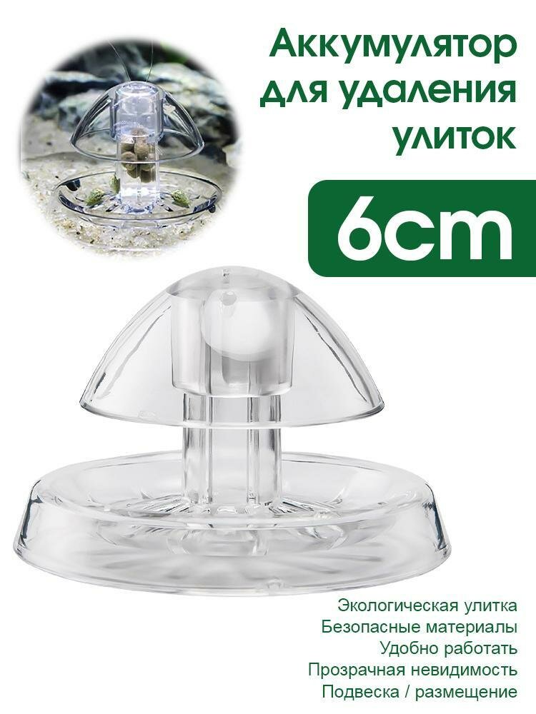 Ловушка для улиток в аквариуме