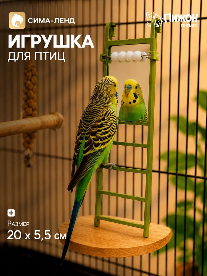 Игрушка для птиц «Лесенка», 20×5.5 см, 4 ступени, зеркало, бусинки, зелёная