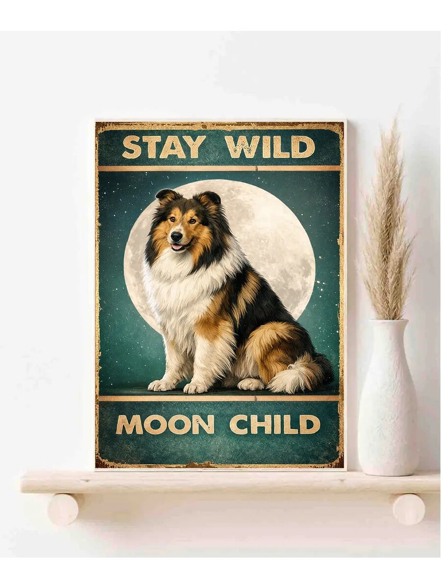 Шотландская колли, Stay Wild Moon Child, Плакат 30x42см