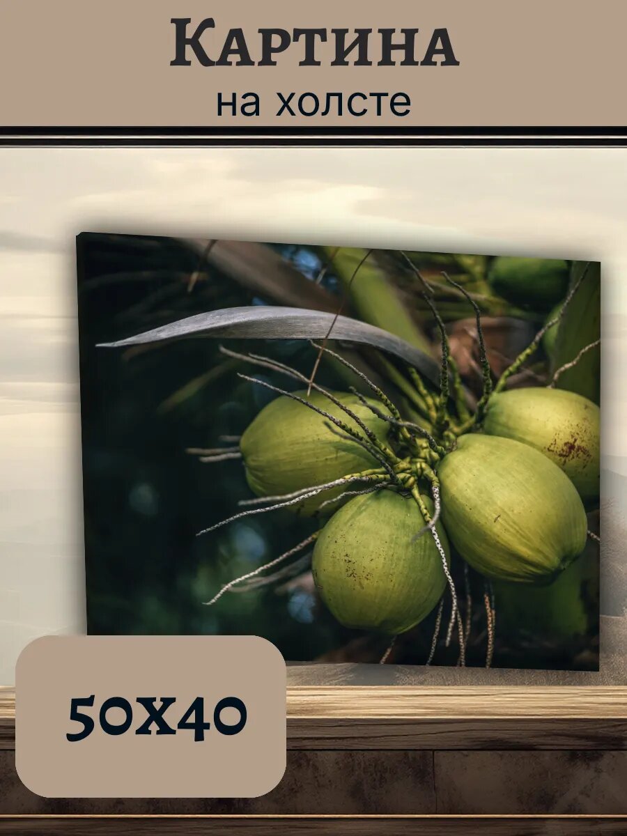 Картина Постер Таиланд Тай 40x50 зеленые кокосы