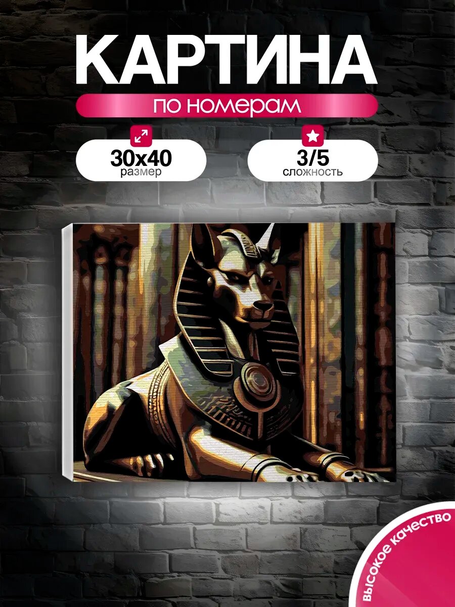 Картина по номерам 30x40 Бог Анубис