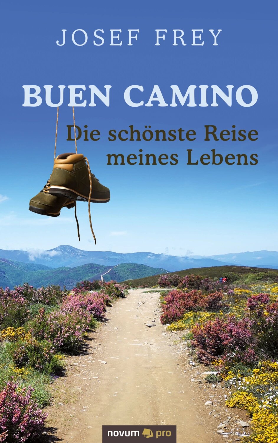 Buen Camino - die schönste Reise meines Lebens [Цифровая книга]
