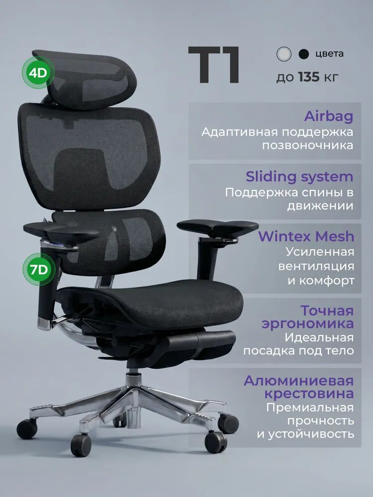 Кресло компьютерное, Ergostul, ортопедическое, офисное, черный, с подставкой для ног, T1 Black