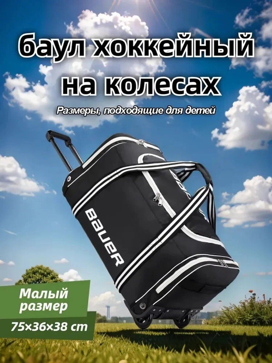 Know Easyx Хоккейный баул стандартный классический вариант базовой серии
