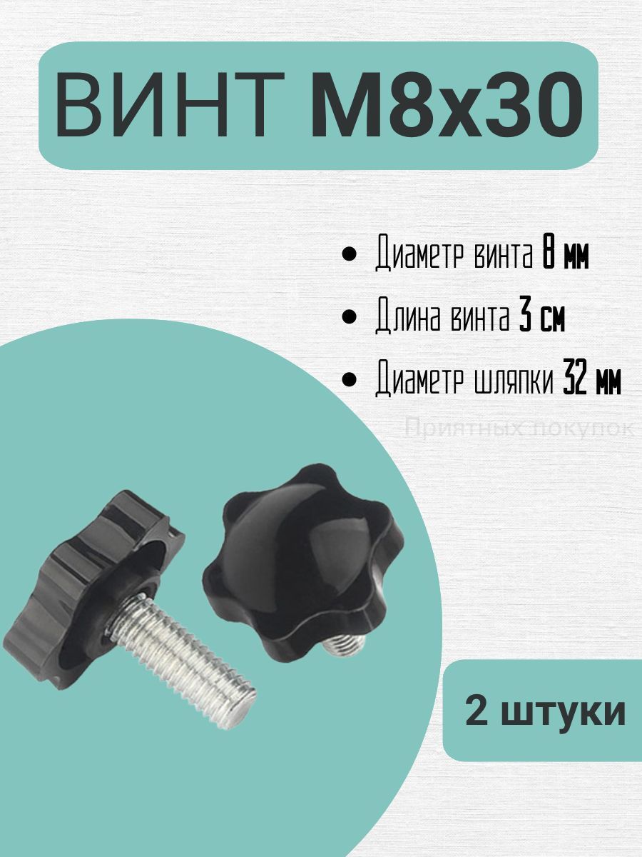 Винт 8 x 30 мм, 2 шт. 16 г