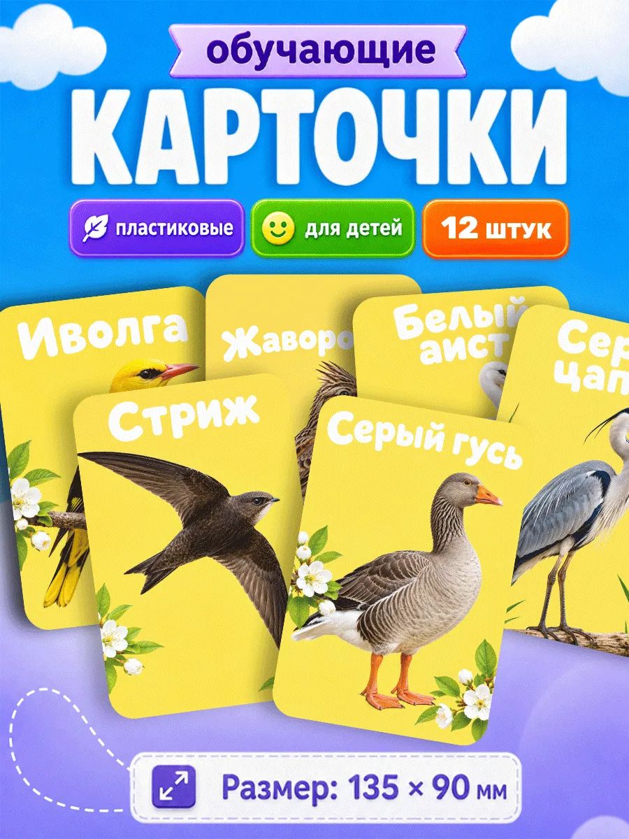 Развивающие карточки для детей Перелетные птицы