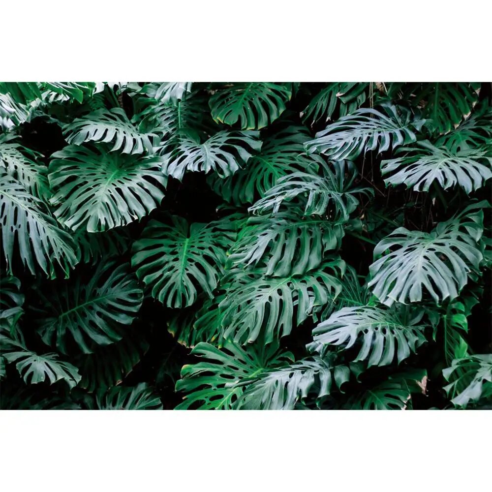 Фотофон виниловый Monstera 90x60cm, 2SY00007