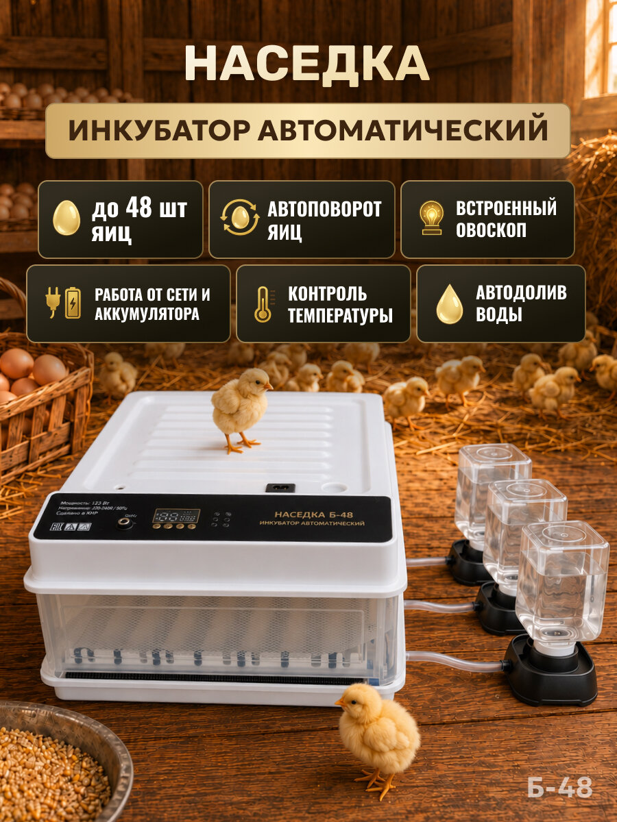 Инкубатор для яиц автоматический Наседка Б-48 на 48 яиц, автоповорот, овоскоп, автодолив воды, 220/12В