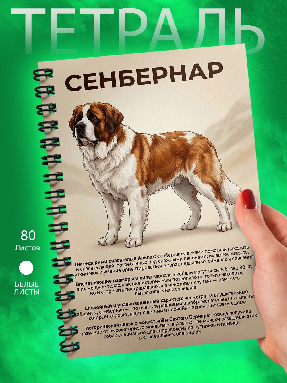 Тетрадь - А5 - Сенбернар
