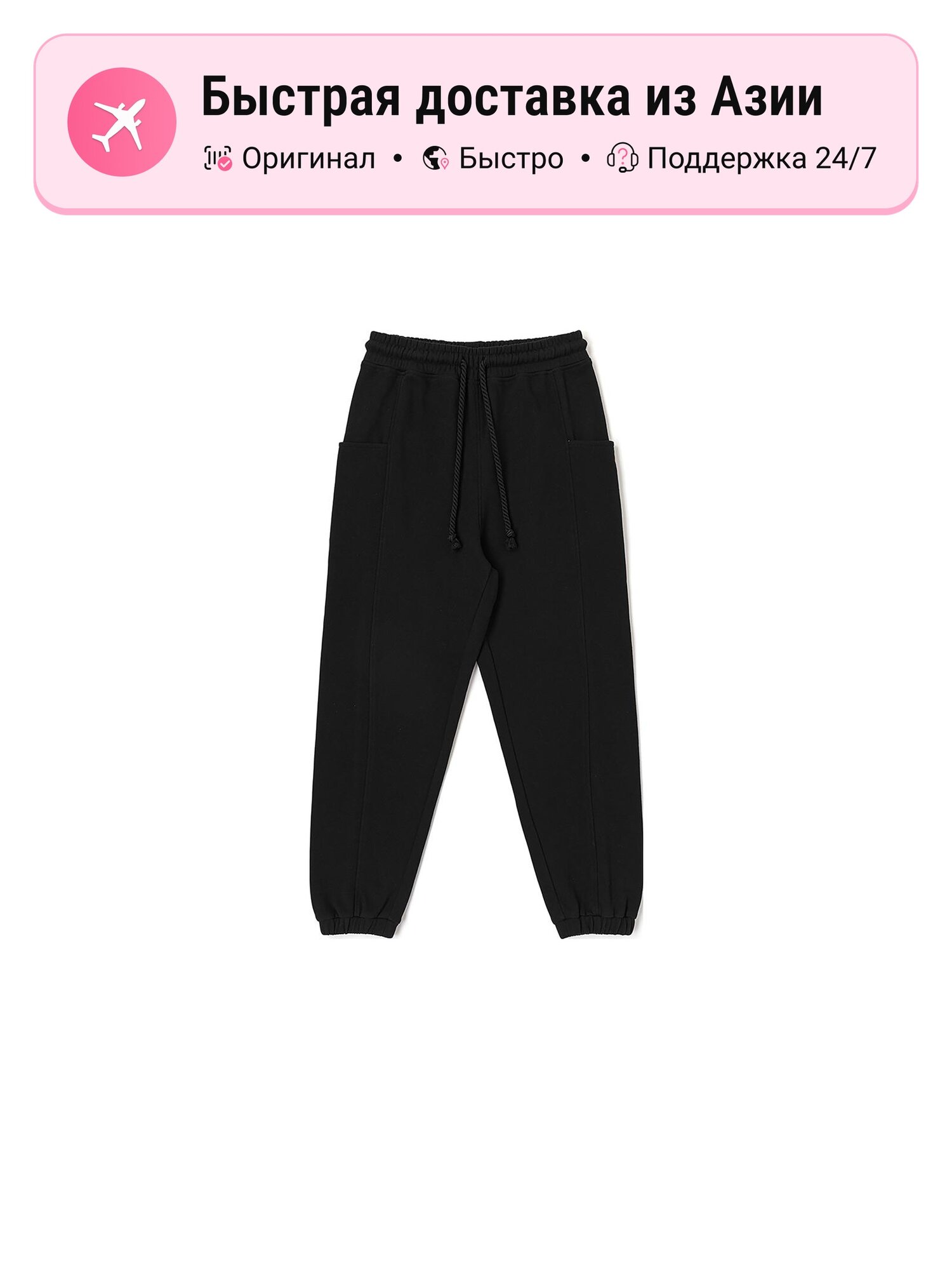 Брюки спортивные Dickies 9009710