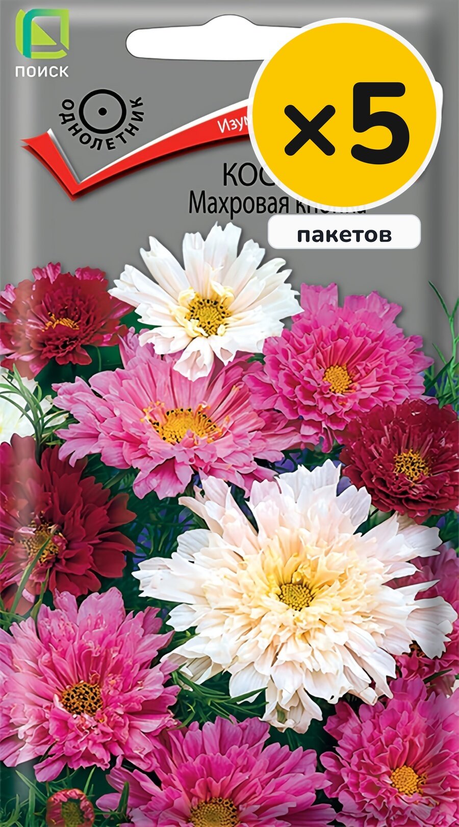 Семена космеи Махровая кнопка, 0,1 г, 5 пакетов, Поиск, однолетник, высота до 80 см, посев в грунт в апреле–мае
