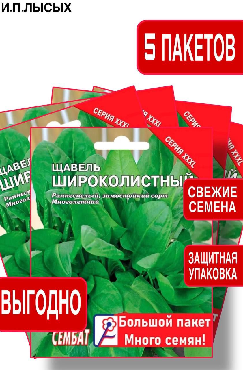 Семена Щавель Широколистный 5шт