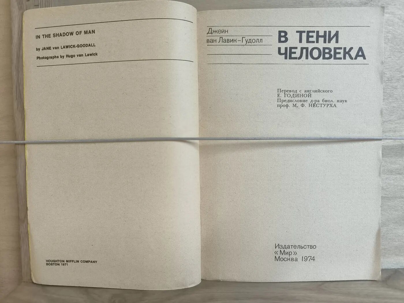 В тени человека — фото 1