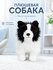 Дуглас собака игрушка хаски