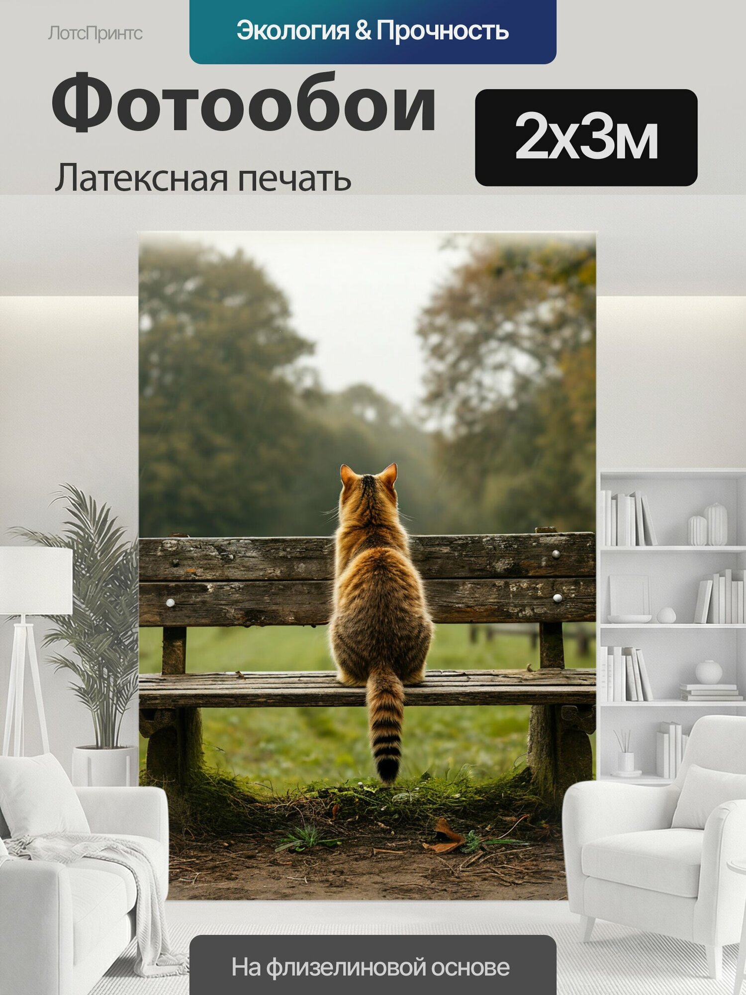 Фотообои моющиеся ударопрочные "Грустный кот, одинокий персонаж, старая лавочка утро в деревне животное" 200x300 см. латексная печать