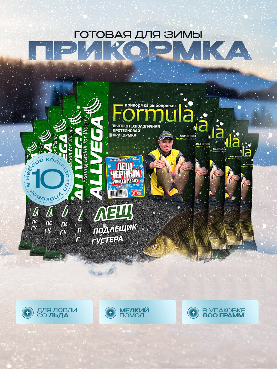 Прикормка для зимней рыбалки готовая ALLVEGA Formula Winter Ready лещ черный 10 штук по 0.8 кг.