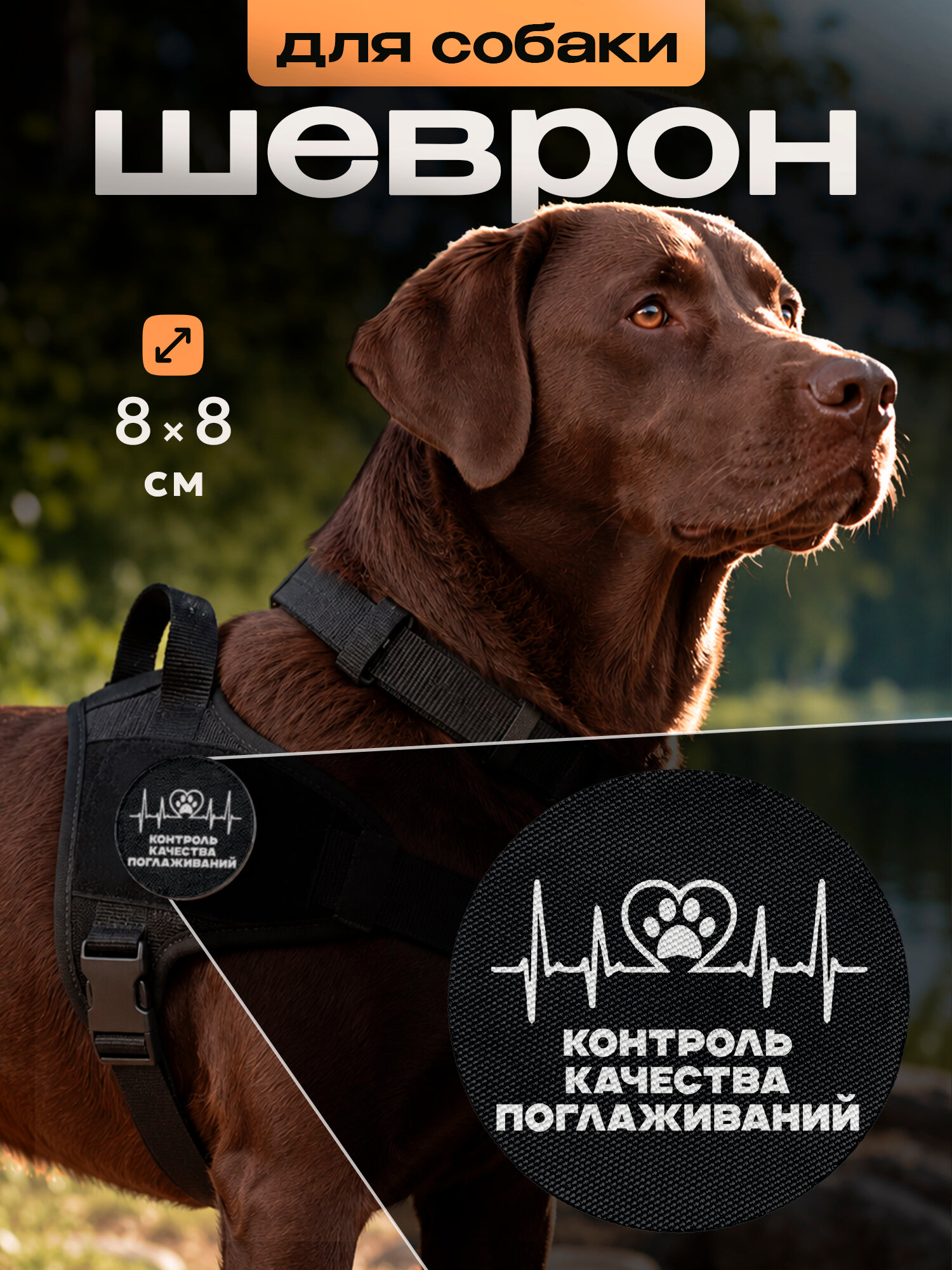 Шеврон IREVIVE кожаный, круглый 8 см, Контроль качества поглаживаний , на липучке, для формы, военному