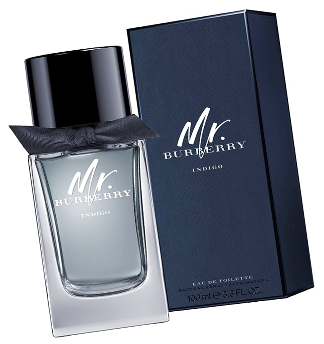 Burberry Indigo туалетная вода для мужчин 100 мл / Бербери Мистер Индиго