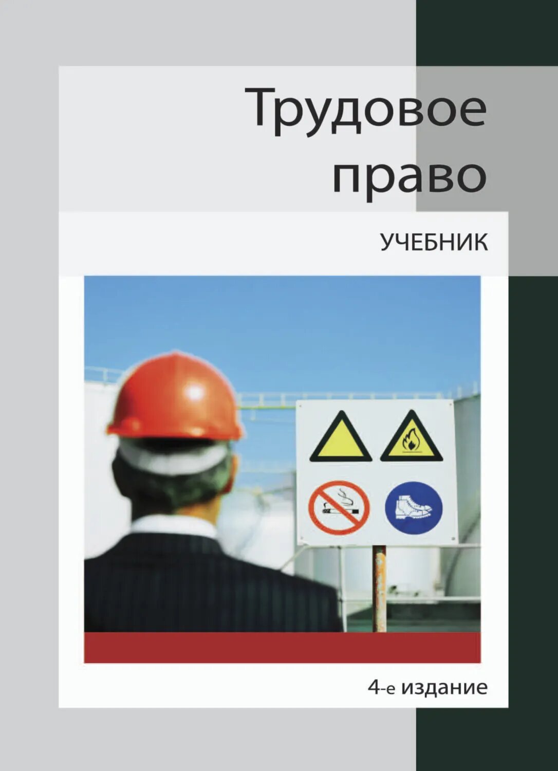 Трудовое право [Цифровая книга]
