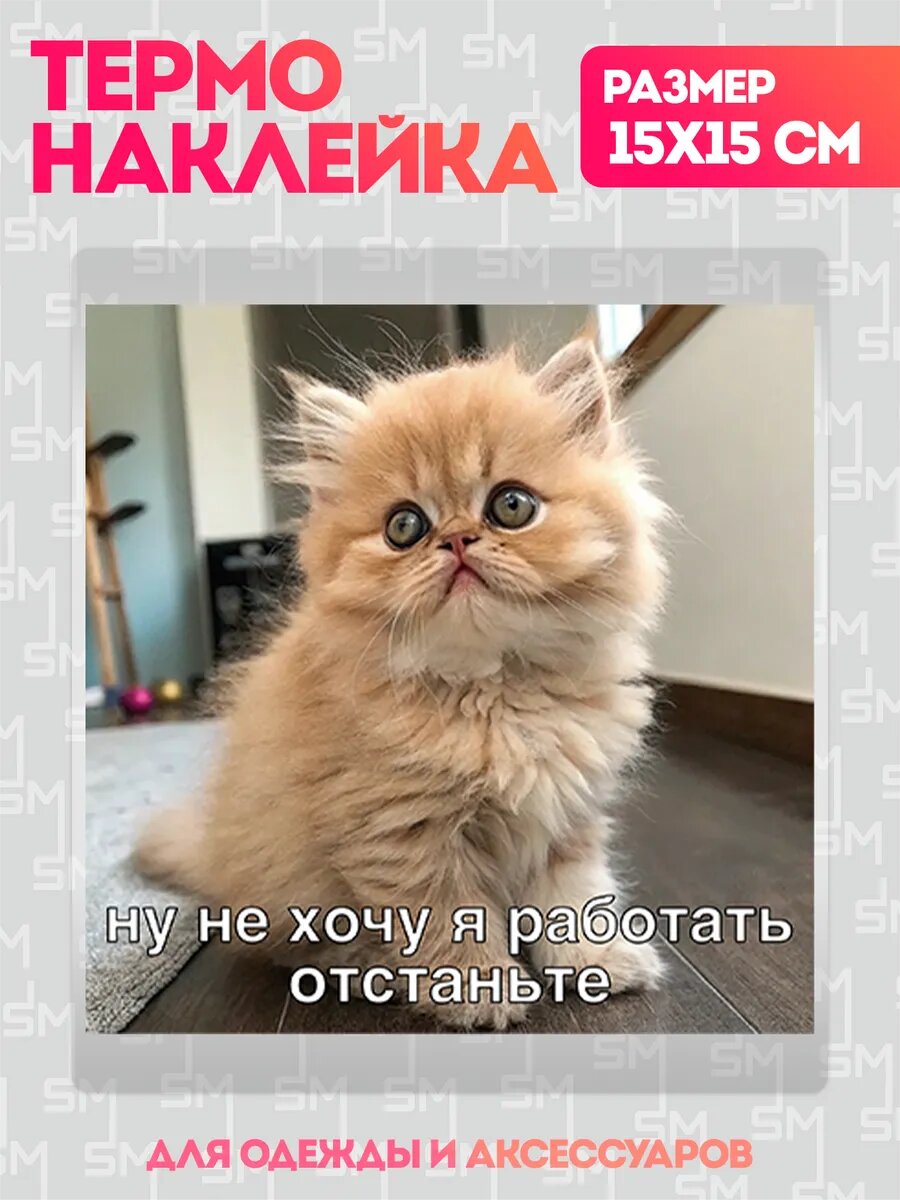 Термонаклейка на одежду котики не хочу я работать отстаньте