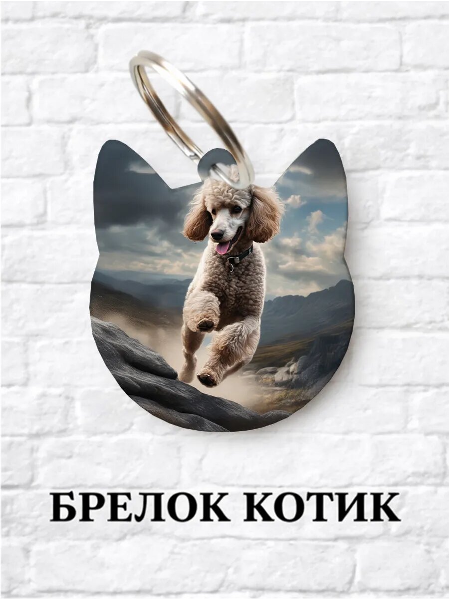 Брелок ZHENYA CLOUD