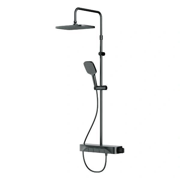 Душевая система Am.Pm F078F222