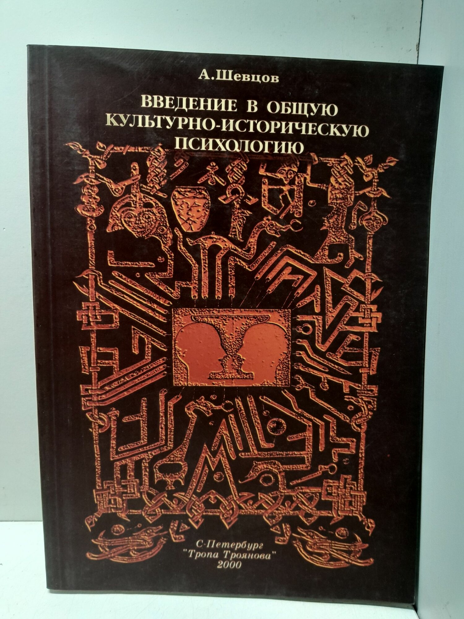 Введение в общую культурно-историческую психологию / Шевцов А.