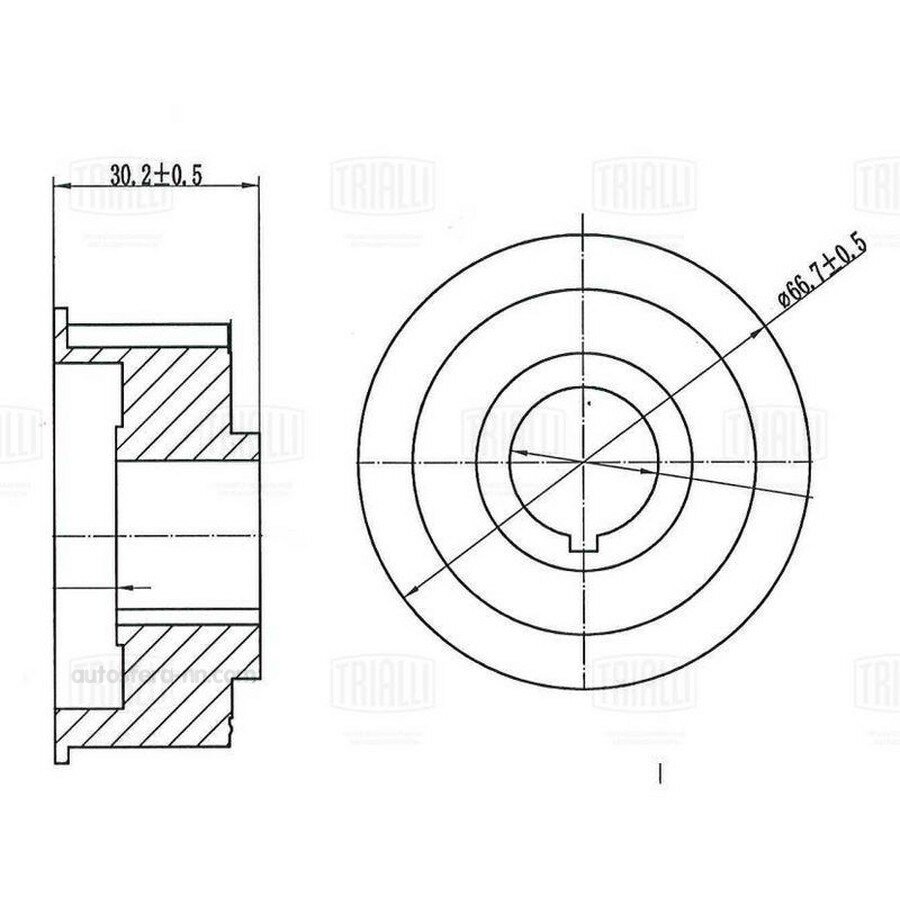 TRIALLI CG109 Шкив ГРМ для а/м Лада 2170 (дв. 21126) коленвала (CG 109)