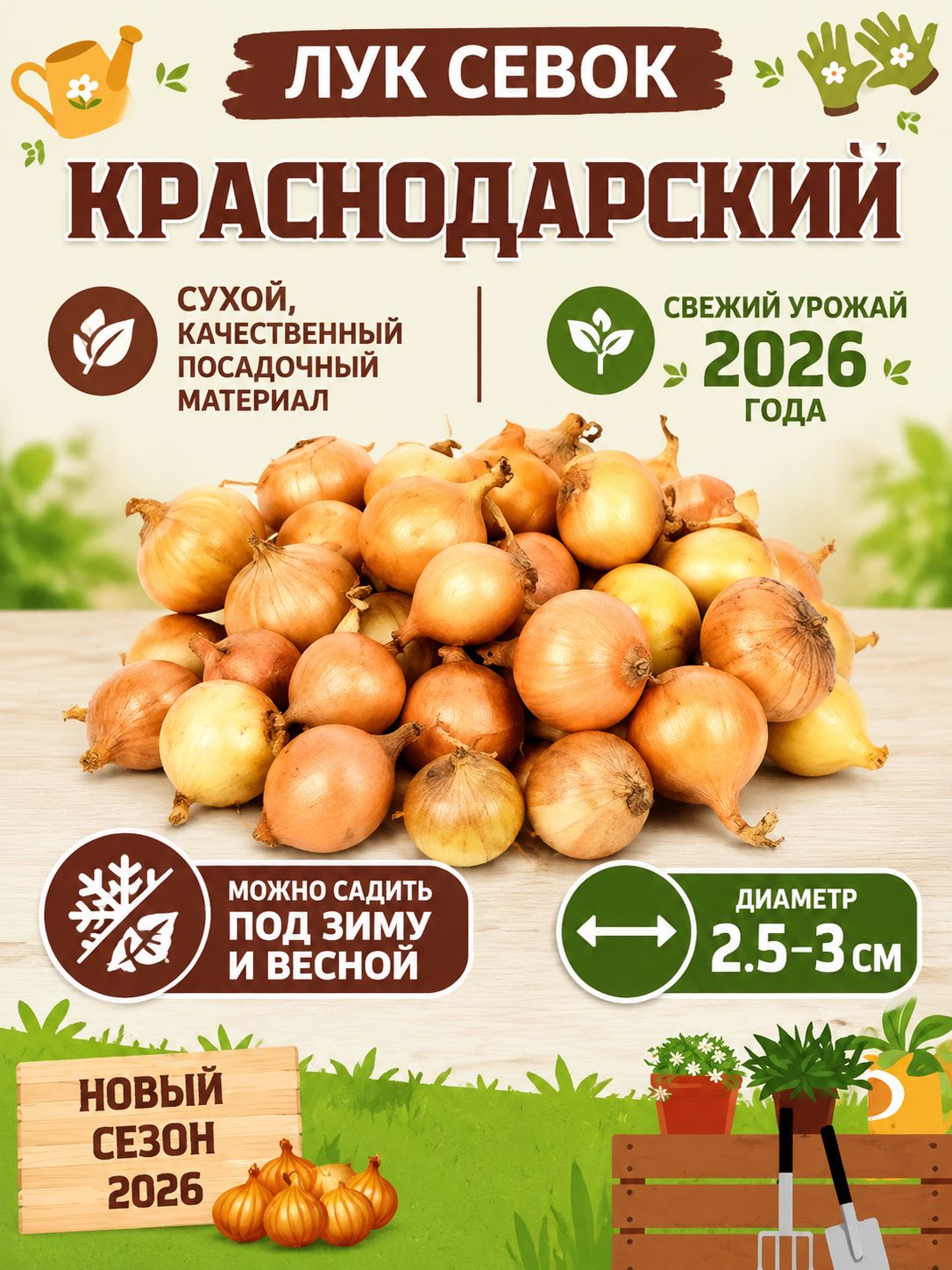 Лук севок Краснодарский/Свежий урожай 2026 года, 1 кг