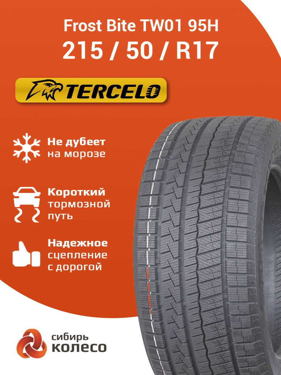 215/50R17 Tercelo Frost Bite TW01 95H