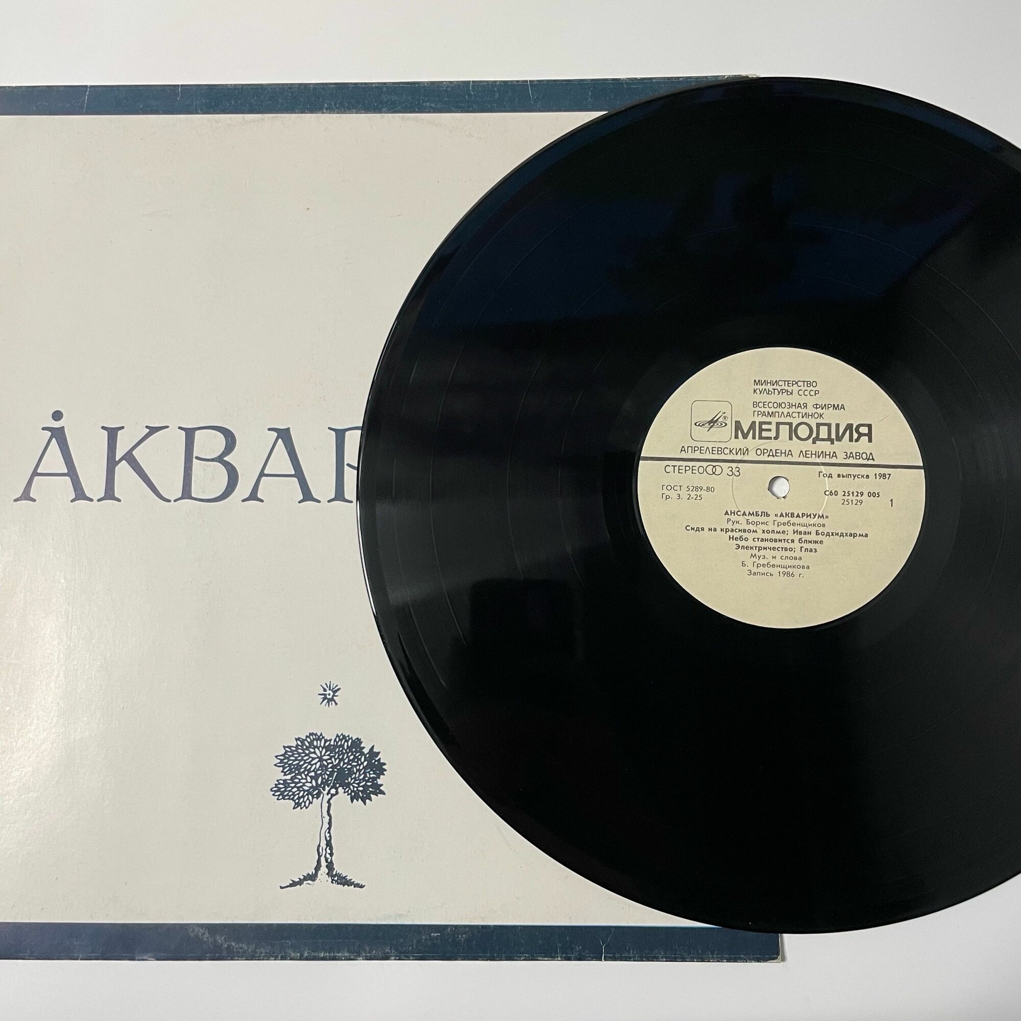 Винтажная виниловая пластинка LP Ансамбль Аквариум (СССР 1987)