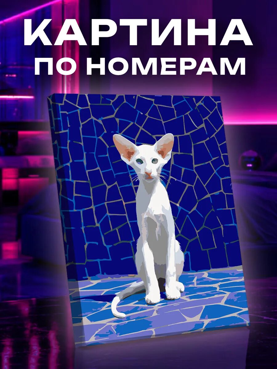 Картина по номерам Ориентальный котенок на мозаичном фоне