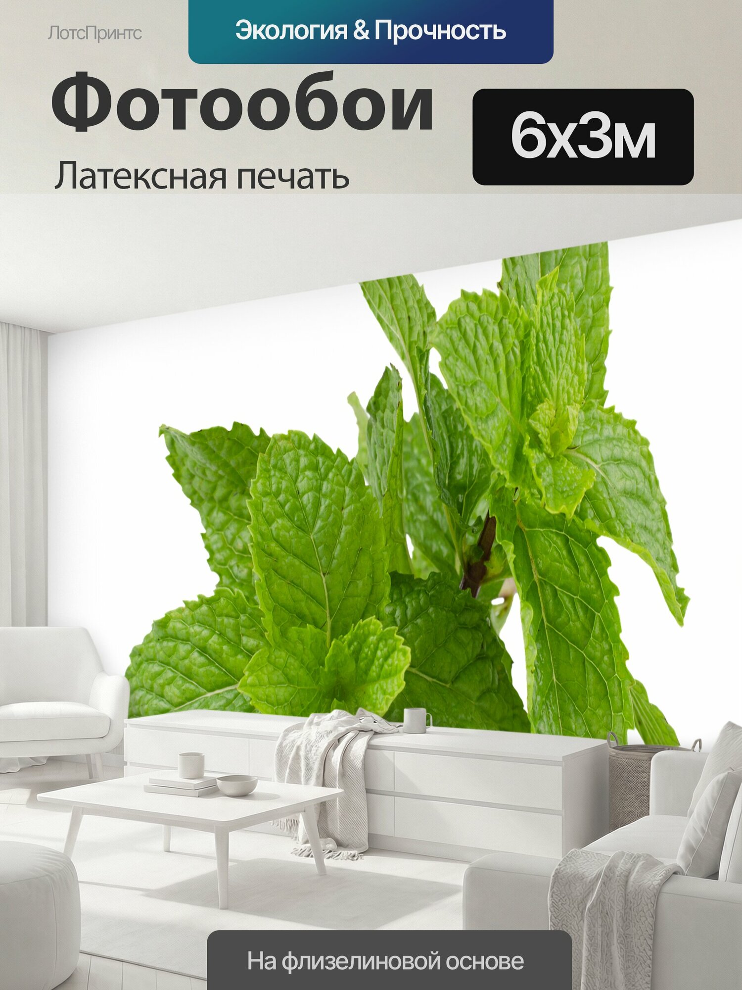 Фотообои моющиеся ударопрочные "Листья мяты, мята, мята перечная" 600x300 см. латексная печать