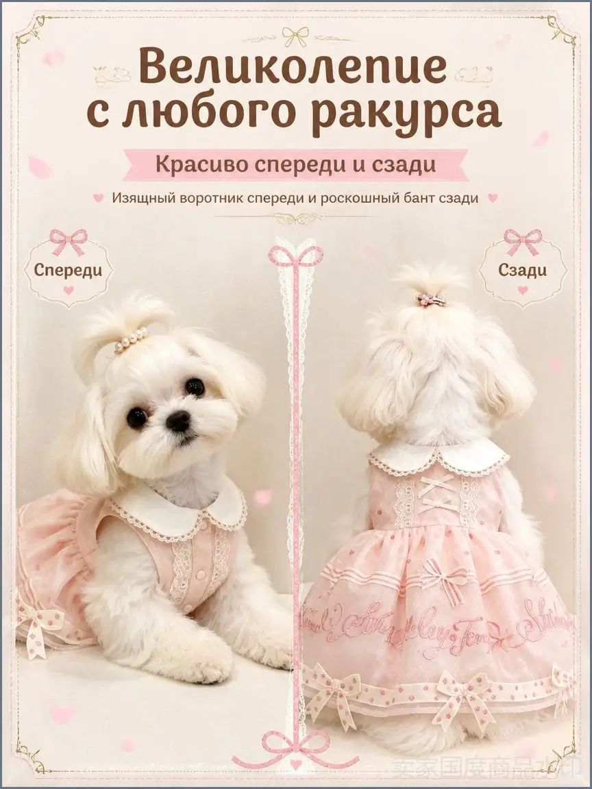 Одежда для домашних животных — фото 1
